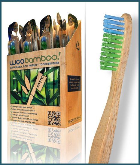 Eco friendly toothbrushes | Dental Blog - Holistic Dental Centre